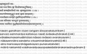 Shwas Kuthar Ras - Benefits, Dosage, Ingredients, Side Effect